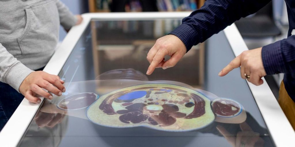 Anatomage Table: 3D Anatomy System | AECC University College